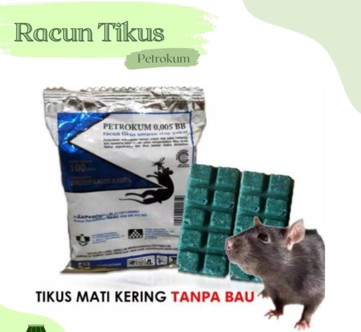 Racun Tikus Petrokum Pembasmi Tikus Mati Kering Tidak Berbau | Lazada ...