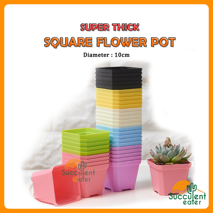 10cm Super Thick Square Colourful Succulent Cactus Plastic Pot Pasu ...