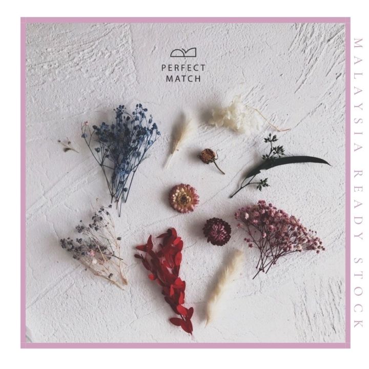 Local Ready Stock Dried Flowers Box DIY Material Pack Gift Wrap | Lazada