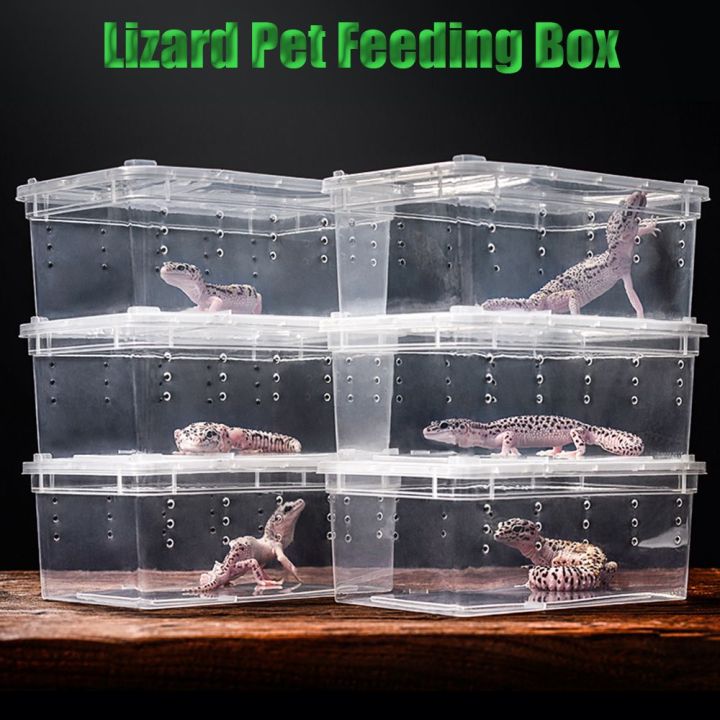YAZHE Terrapin Amphibian Pet Products Snakes Breeding Frogs Reptile ...