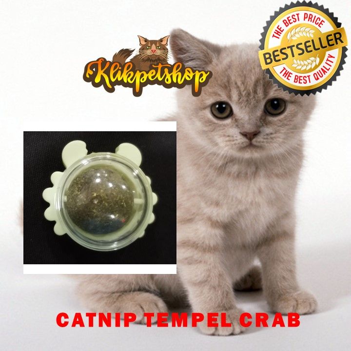 Catnip Ball Toy Crab Snail avocado Catnip Tempel Dinding Bentuk Permen ... Catnip Ball Toy Crab Snail avocado Catnip Tempel Dinding Bentuk Permen ...