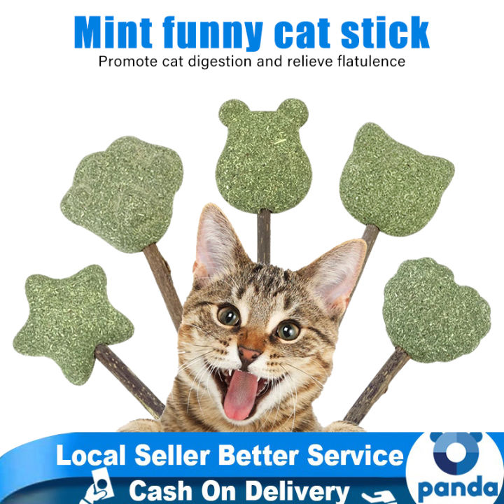 Catnip Ball Lollipop Funny Cat Stick Cute And Fun Mint Candy Lazada Ph
