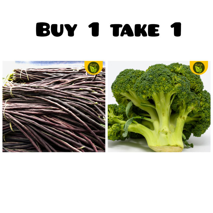 buy 1 take 1 binhi seeds (red string beans and lettuce) | Lazada PH