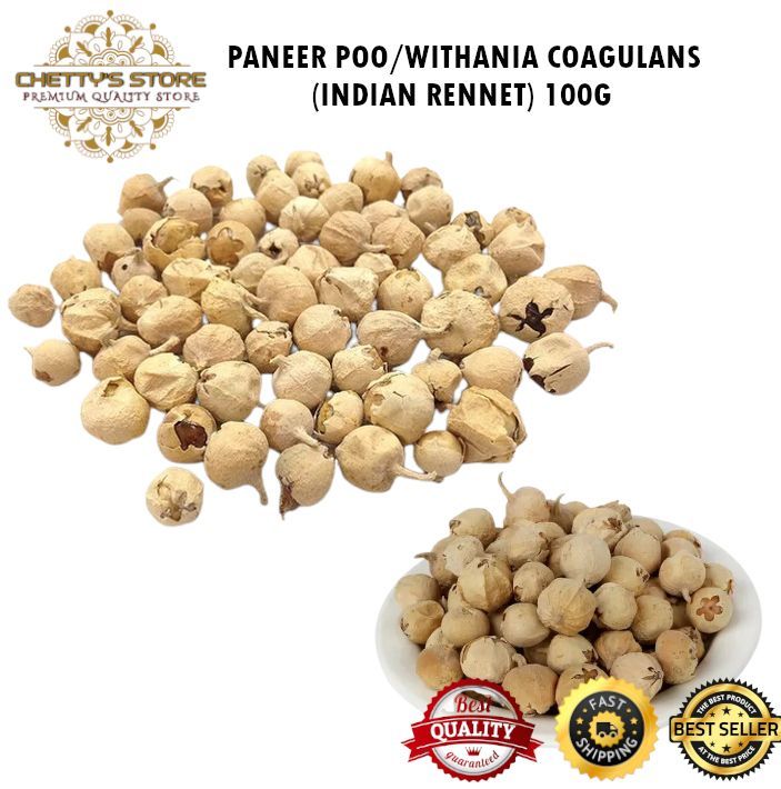 (IMPORTED INDIA) Panneer Poo / Indian Rennet Flower / Paneer Poo ...