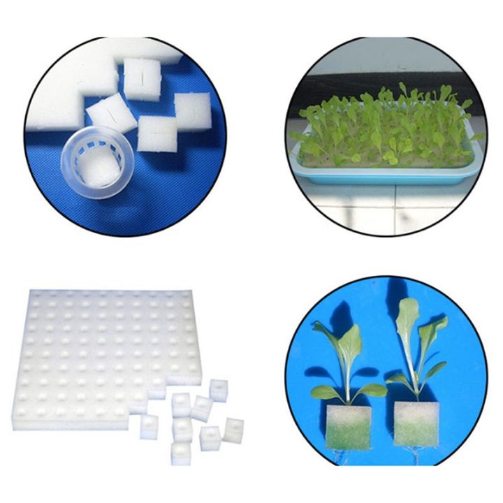 100 Pieces White Seedling Sponge Soilless Hydroponic Vegetables ...