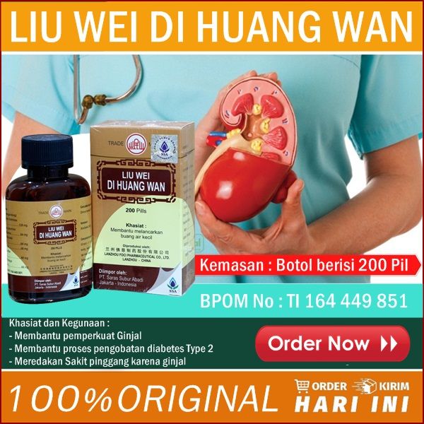 PROMO obat liu wei di huang wan obat ginjal dan diabetes suplemen ...