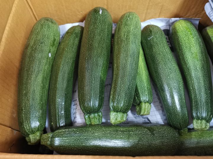 สดใหม่! จากฟาร์ม ซูกินี บวบฝรั่ง zucchini 1kg ราคาถูก ราคาส่ง | Lazada ...