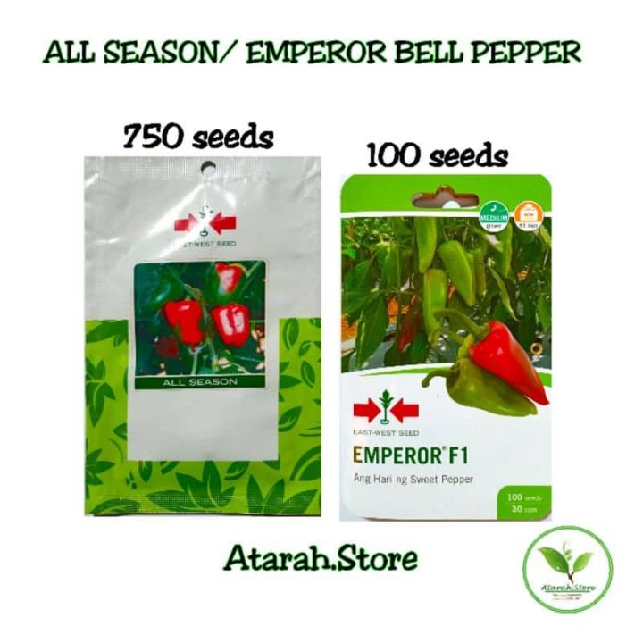 Hybrid ALL SEASON F1/ TRINITY F1/ EMPEROR F1 Bell Pepper East West ...