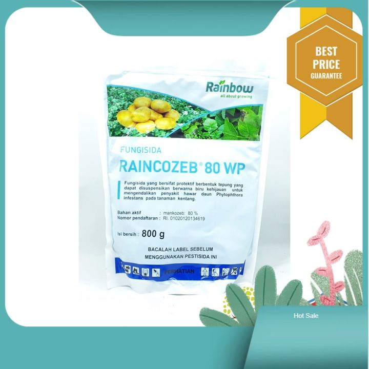 Fungisida RAINCOZEB 80WP 800 gram | Lazada Indonesia
