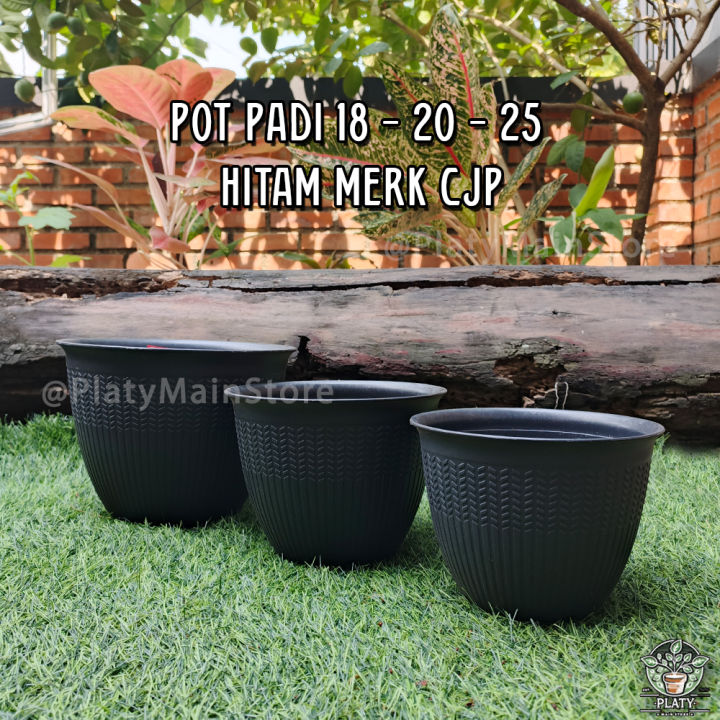 Pot Padi 18 20 25 Hitam | Pot Hitam | Merk Citra Jaya Plastik | Lazada ...