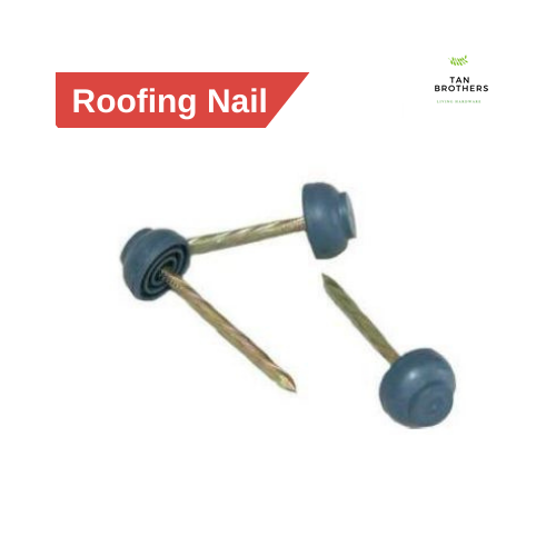 ROOFING NAIL WITH RUBBER HEAD / PAKU ZINC / PAKU BUMBUNG | Lazada