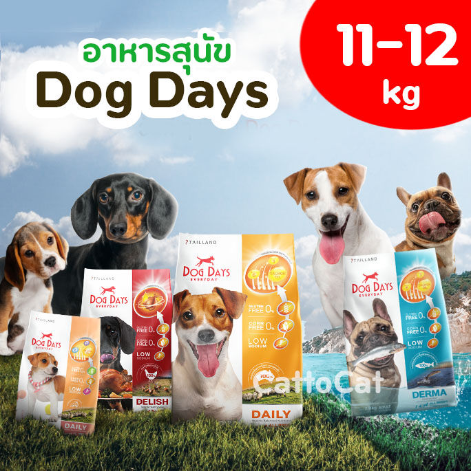 (12kg) Dog Days อาหารสุนัข เม็ดพรีเมียมสำหรับสุนัขโต ครบทกสูตร พร้อมส่ง ...