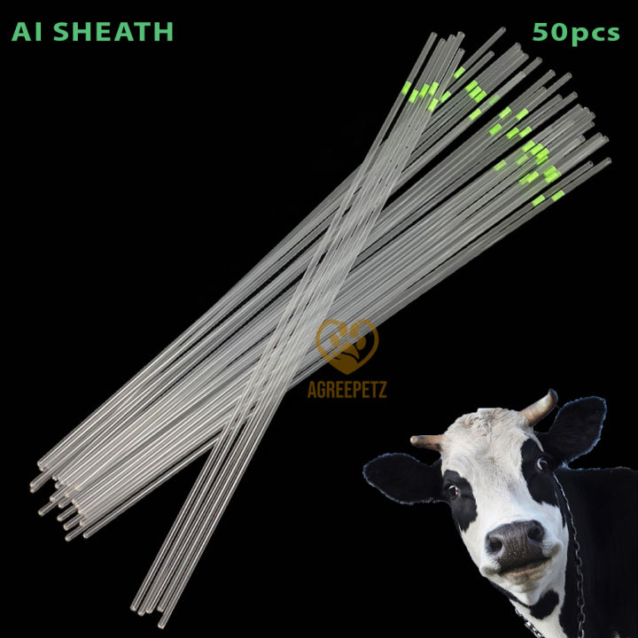 AI sheath catheter for Cattle artificial insemination, vitro ...