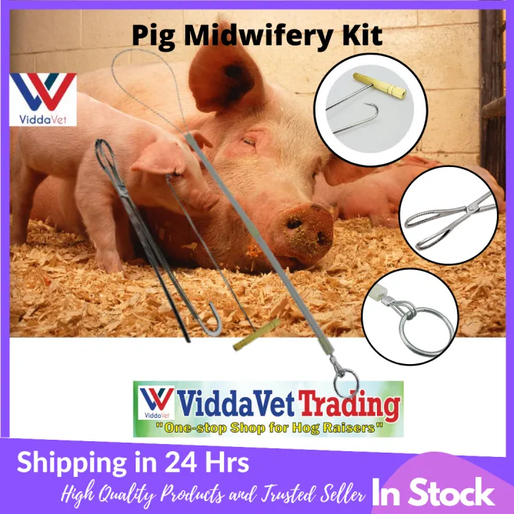 1 set Veterinary Swine Obstetrical Midwifery Kit Stainless Steel ...
