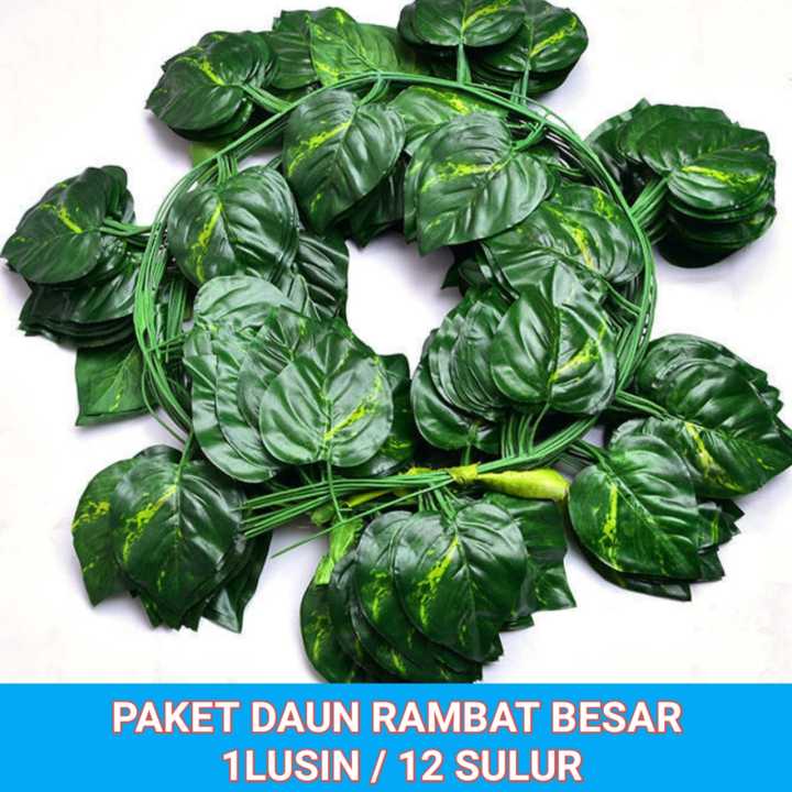 Daun Rambat Plastik 1 Lusin 12 pcs Murah Panjang 2 Meter Jumbo Hiasan ...