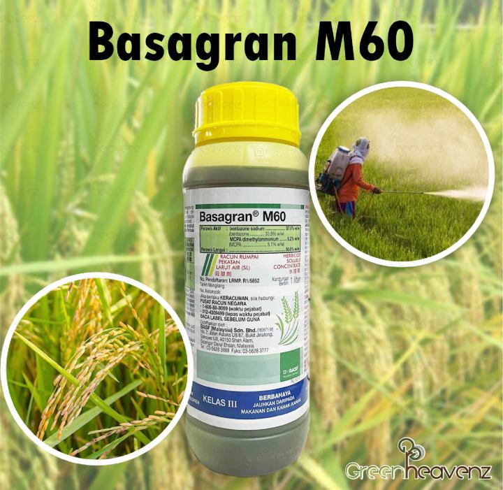 GHZ - BASF Basagran M60 Bentazone sodium 44.0% Selective Herbicide For ...