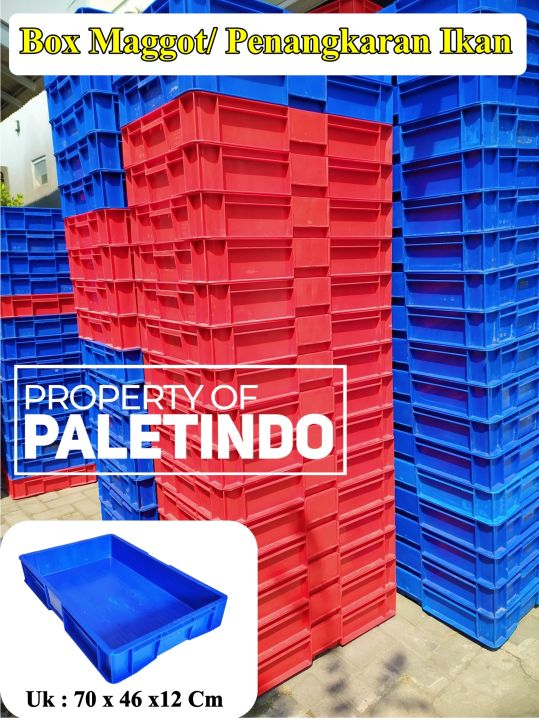 Box Maggot Box Penangkaran Ikan Box Solid 70 x 46 x 12 Cm BEKAS Tipe ...