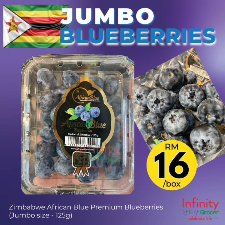 Zimbabwe African Blue Premium Blueberries (Jumbo size - 125g) | Lazada
