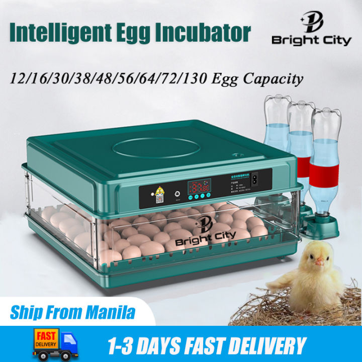 BRIGHT CITY COD 12/16/30/38/48/56/64/72/96/108/130 Eggs Fully Automatic ...