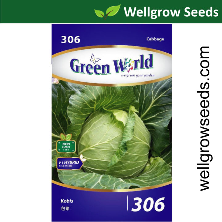 Green World Seeds : Cabbage 100 seeds 包菜 GW306 | Lazada