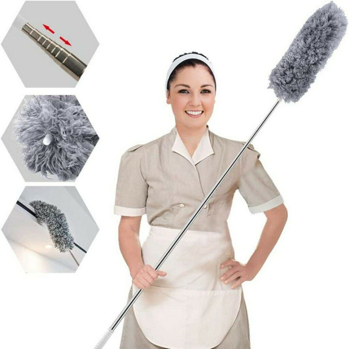 Extendable Cobweb Brush Angled Head Feather Duster Long Reach ...