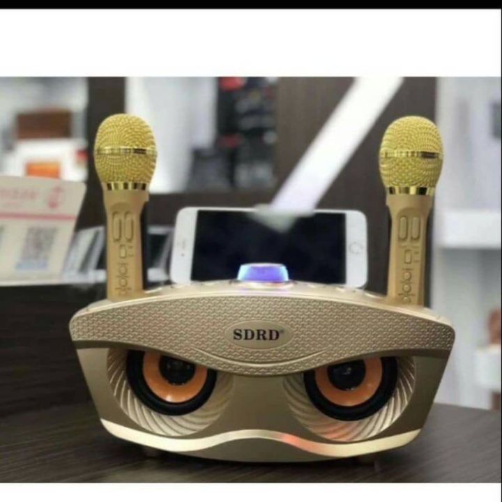 SDRD-306 wireless bluetooth speaker dual mic | Lazada