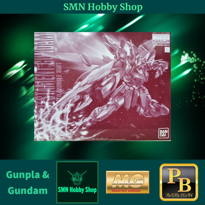 MG 1/100 Gundam Astray Testament Gunpla Gundam Toys Plastic Model Kit ...