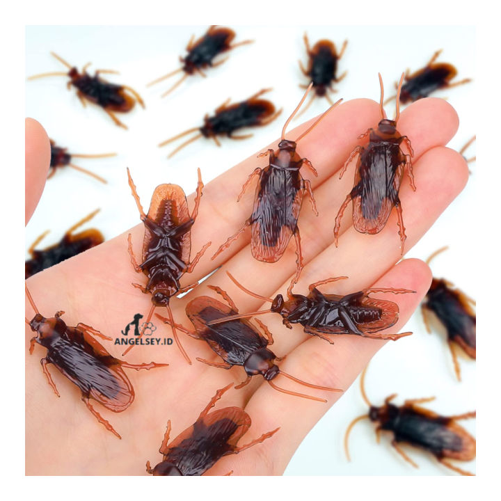 Mainan Kecoa Prank / Mainan Seru Untuk Anak Isi 2pc | Lazada Indonesia