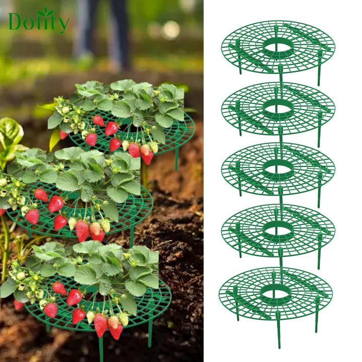 Dolity 5 Pieces Strawberry Plant Support Garden Planting Strawberry ...