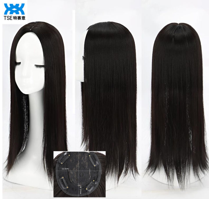 TSE Long Straight Hair Wig Piece Covering Gray Hair 55cm Length hair ...