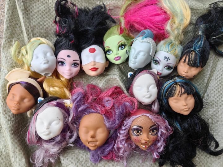 Genuine monster high school fairy tale high school doll head snow wood ...