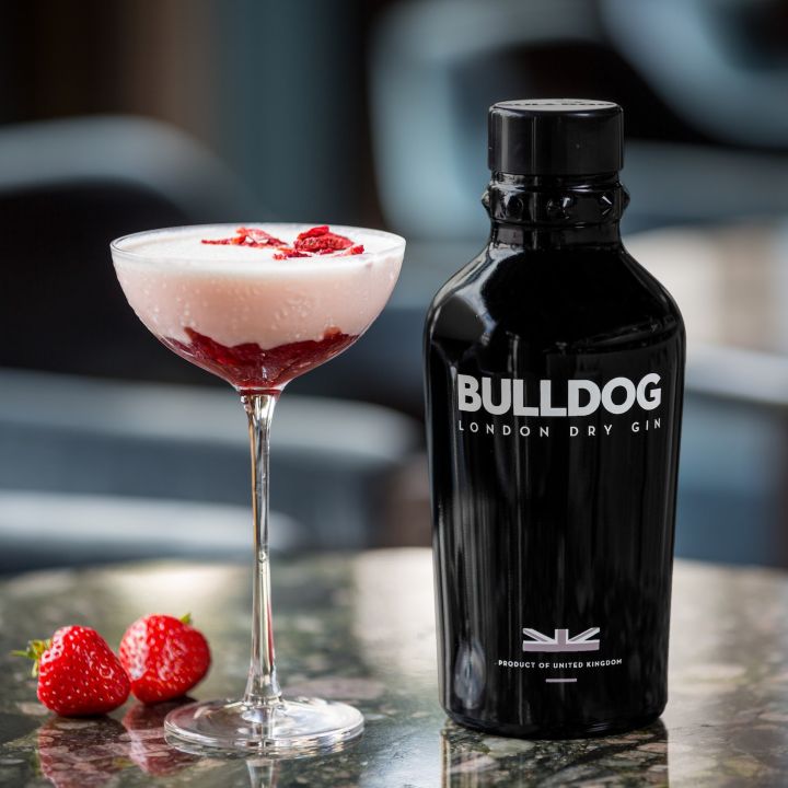 Bulldog Gin | Product of United Kingdom | 750ml | Lazada