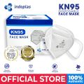 Indoplas KN95 Disposable Face Mask 50's | Lazada PH