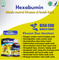Walatra Hexabumin Hexabumin Madu Plus Albumin Vitamin Kesehatan Anak ...