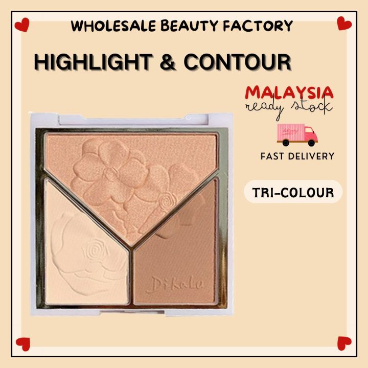 Tri-color Contouring Contour Plate Matte Highlighting Brightening Nose ...