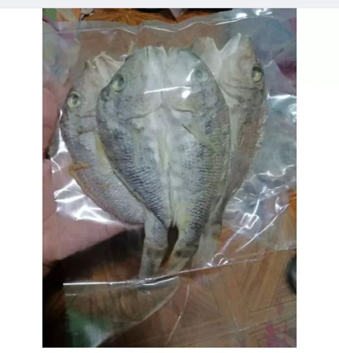 1/2 kilo 500 grams Special Katambak Dried Fish Buwad Bulad Tuyo | Lazada PH