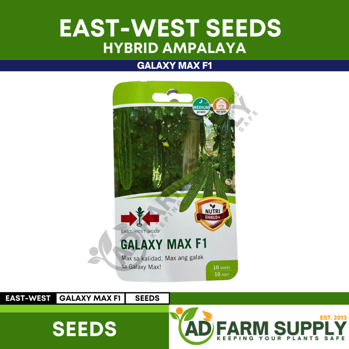 Galaxy Max F1 Hybrid Ampalaya Seeds | High Yield Bitter Gourd - East ...