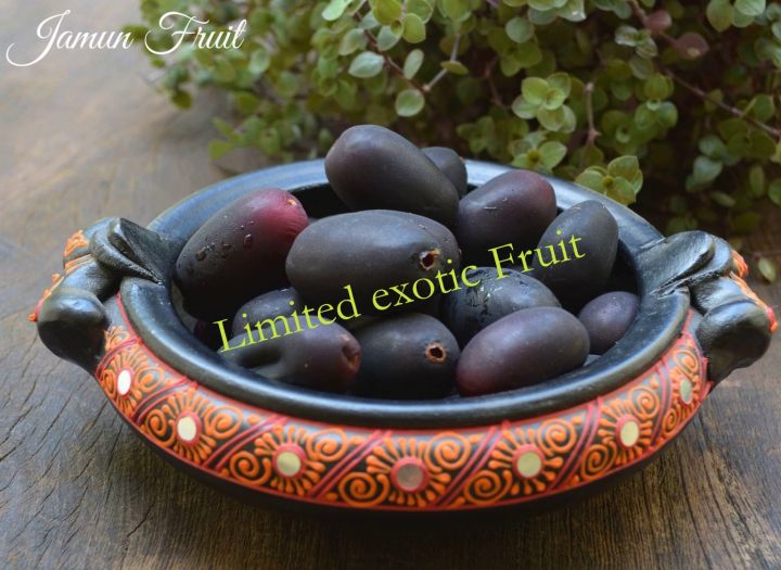 Fruit:Naval Palam/Jamun/Java Plum/Black Plum | Lazada