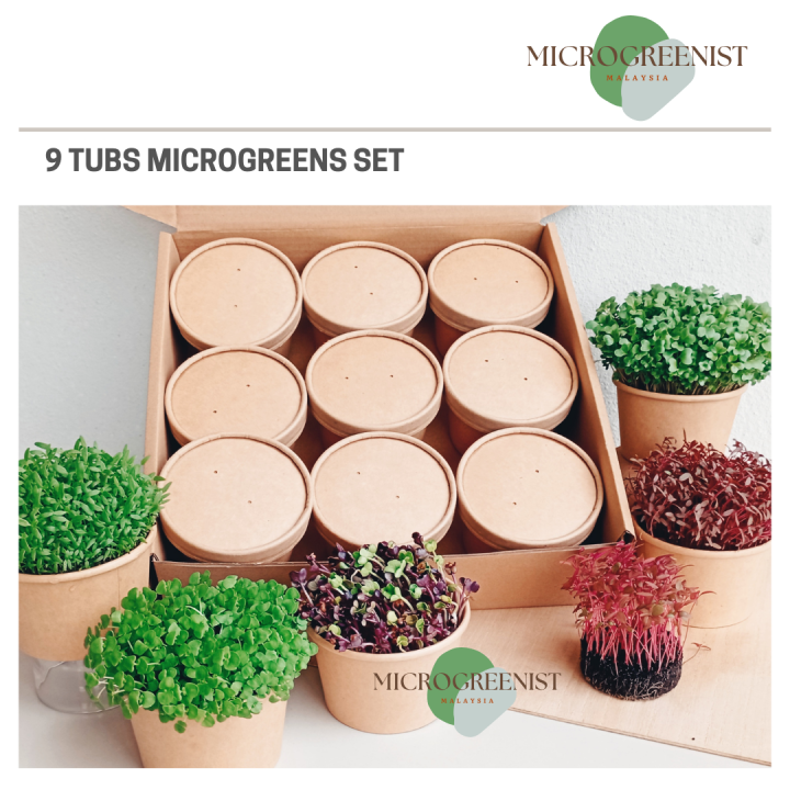 9 Tubs Grow Your Own Microgreens Starter Kit | Lazada