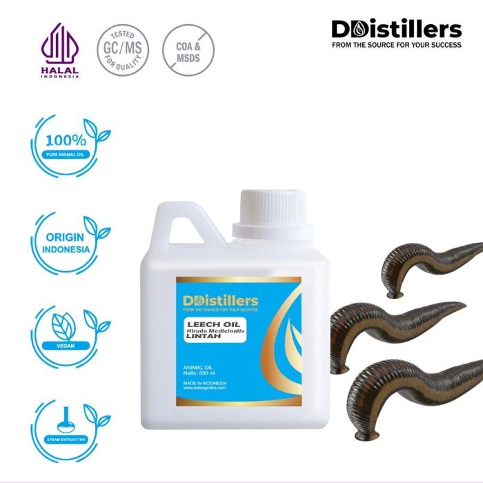 Leech / Lintah Animal Oil Pure 100%, 500ML-1L | Lazada Indonesia