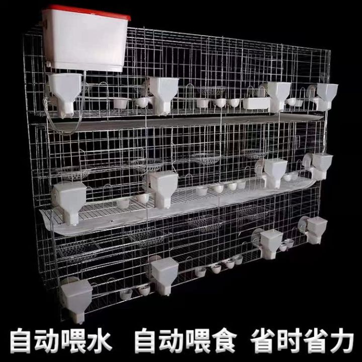 12-16 bold pigeon cage meat pigeon breeding cage pigeon pairing cage ...