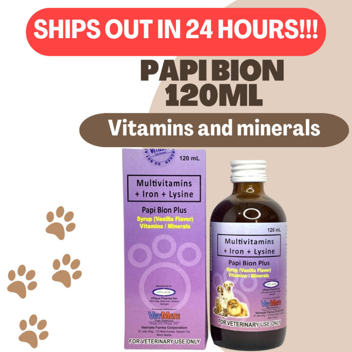 NEW PACKAGING PAPI IRON PLUS B COMPLEX Bion Plus 120ml TW | Lazada PH