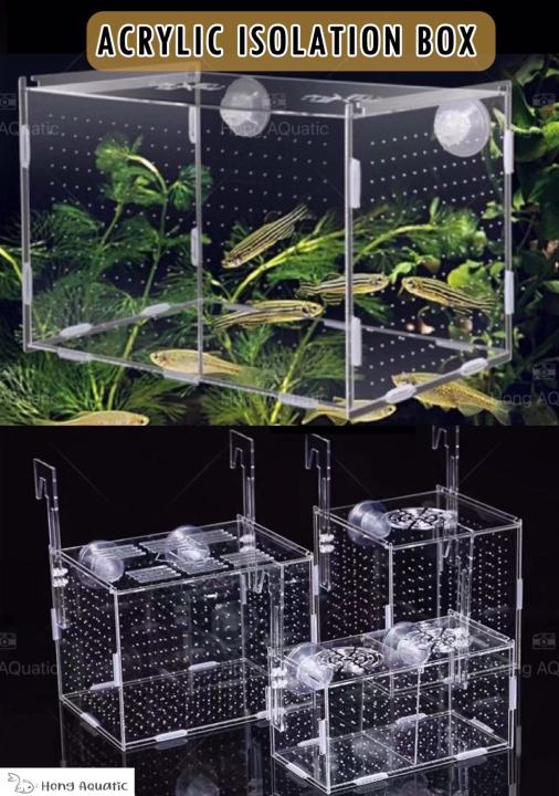 🔥Ready Stock🔥ACRYLIC ISOLATION BOX Aquarium acrylic quarantine box free ...