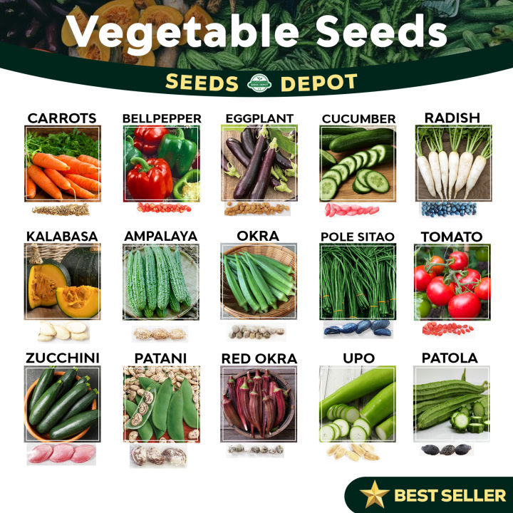 Vegetable Seeds - Pechay Ampalaya Carrots Kalabasa Okra Upo Patola ...