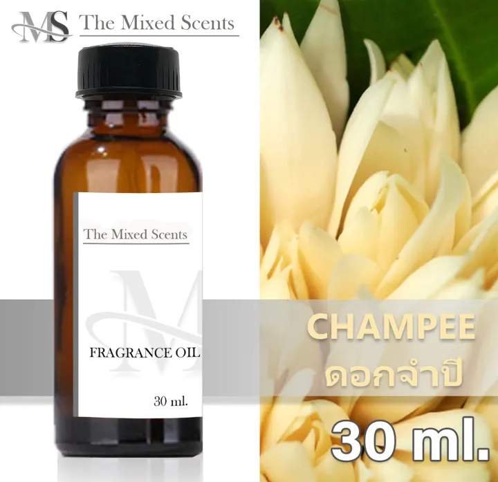 พร้อมส่ง จำปี Champee หัวเชื้อน้ำหอมแท้ 100% ไม่ผสมแอลกอฮอล์ 30 ml ...