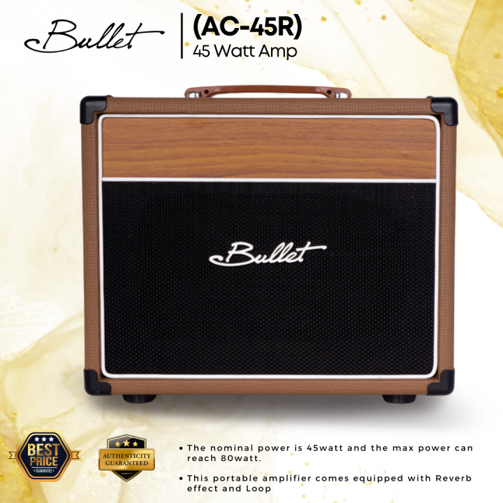 Bullet 45W Acoustic Guitar Amplifier AC-45R with 2 Channel (Mic ...