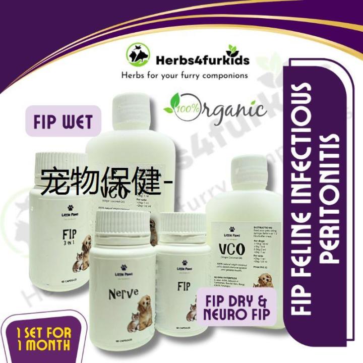 Rawatan Alternatif Untuk Rawat Virus FCoV, FIP DRY, FIP WET, NEURO FIP ...