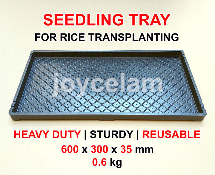 Seedling Tray Heavy Duty Reusable for Rice Transplanting | Lazada PH