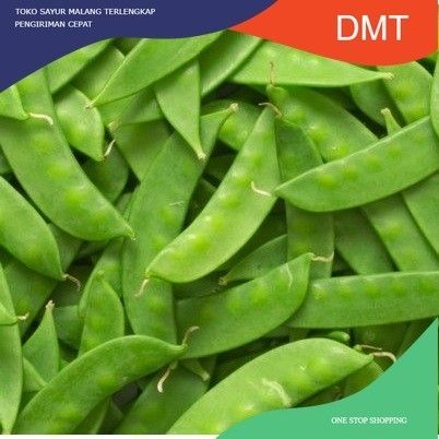 Sayur Kapri / Kacang Kapri Manis / Arcis Import & Lokal | Lazada Indonesia