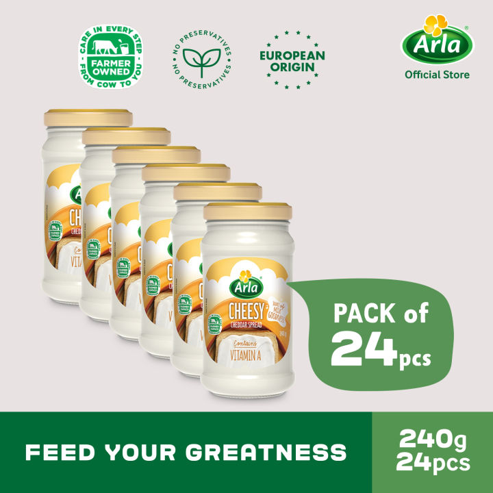 Arla Cheddar Spread 240g 24-Pack | Lazada PH